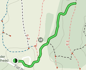 Panola Mountain Archery Trail, Georgia - 26 Reviews, Map | AllTrails