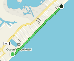 Surfside Beach: 37 Reviews, Map - Texas | AllTrails