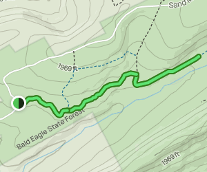 Sand Mountain Trail: 45 Reviews, Map - Pennsylvania | AllTrails