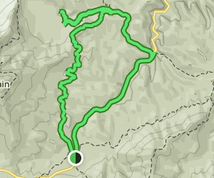 Turkeypen Ridge Trail to White Oak Sinks: 1.176 fotos - Tennessee ...