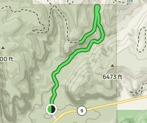 East Rim Trail to Overlook: 752 Reviews, Map - Utah | AllTrails