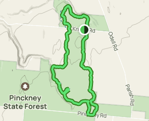Pinckney Loop Trail: 64 Reviews, Map - New York | AllTrails