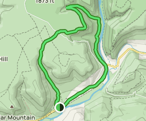 West Rim and Bohen Trail Loop: 150 Reviews, Map - Pennsylvania | AllTrails