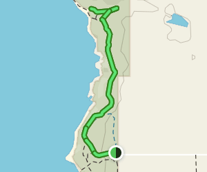 Quinninup Falls Track: 187 Reviews, Map - Western Australia, Australia ...