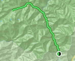 Mule Bridge Trail: 13 foto - California | AllTrails