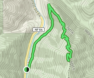 AllTrails | Middle Point Trail to Ski Bluewood: 75 Reviews, Map - Washington