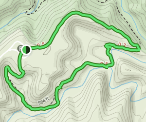 Rock Bridge Trail: 2446 Reviews, Map - Kentucky | AllTrails