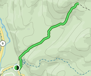 Campion Trail: 303 Reviews, Map - Colorado | AllTrails