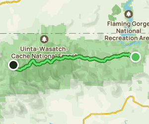 Highline Trail: 125 Reviews, Map - Utah | AllTrails