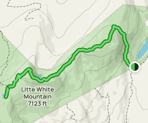 Crawford Lake via Okanagan Highland Trail: 20 Reviews, Map - British ...