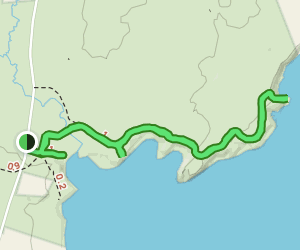 Hamilton Cove Preserve Trail: 91 Reviews, Map - Maine | AllTrails