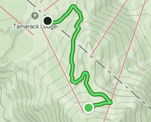 Tamarack Trail, California - 52 Reviews, Map | AllTrails