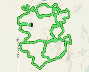 Hammond Hills Loop, Michigan - 230 Reviews, Map | AllTrails