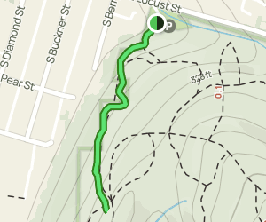 Indian Pipe Trail: 57 fotos - Washington | AllTrails