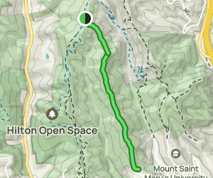 Tiger Tail Trail: 498 Reviews, Map - California | AllTrails