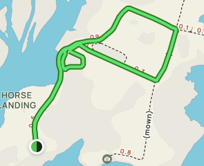 Pinckney Island Ride Trail, South Carolina - 645 Reviews, Map | AllTrails