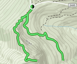 Bohemia Mountain Trail and Ghost Town: 80 Reviews, Map - Oregon | AllTrails