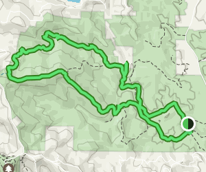 Wildcat Creek Loop Trail: 216 Reviews, Map - Georgia | AllTrails