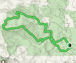 Wildcat Creek Loop Trail: 227 Reviews, Map - Georgia | AllTrails