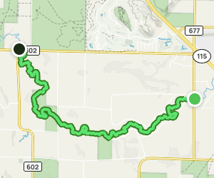 Betsie River Paddle Route: 14 foto's - Michigan | AllTrails