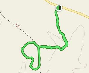 Splinter Hill Bog Preserve, Alabama - 65 Reviews, Map | AllTrails