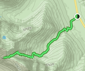 Easy Pass Trail: 387 Reviews, Map - Washington | AllTrails