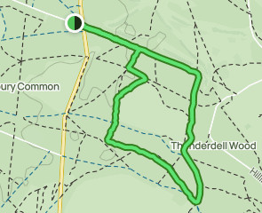 Hertfordshire Way and Ashridge Forest Circular: 52 foto's ...