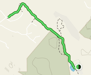 Kittredge Brook Forest Trail: 14 Reviews, Map - Maine | AllTrails