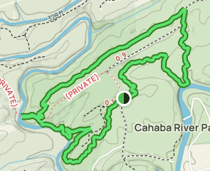 Reflections, Northern Pines, and Wild Turkey Loop, Alabama - 92 Reviews ...