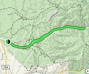 Winsor Trail Out-and-Back: 573 Reviews, Map - New Mexico | AllTrails