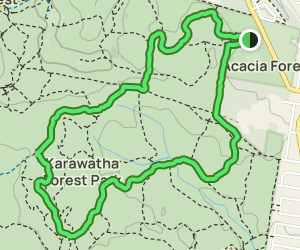 Brushtrail, Banksia and Dianella Circuit: 104 Reviews, 259 Photos, Map ...