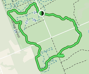 Larose Forest Loop: 270 Reviews, Map - Ontario, Canada | AllTrails