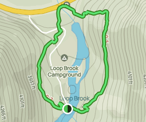 Loop Brook Trail: 95 Reviews, Map - British Columbia, Canada | AllTrails