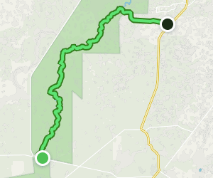 Florida Trail: Aucilla River: 41 Reviews, Map - Florida | AllTrails