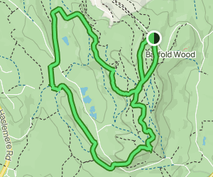 Blackdown and Ridge Hill: 228 Reviews, Map - West Sussex, England ...