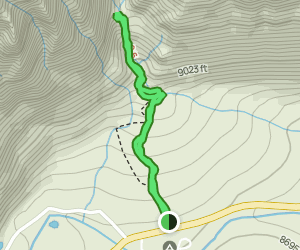 Agnes Vaille Falls Trail: 756 Reviews, Map - Colorado | AllTrails