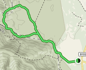 Maccabee Forest and Cascade Mare Circular: 103 fotos - Plaines Wilhems ...