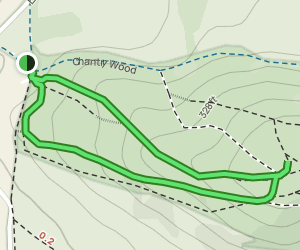 Chantry Wood Circular Walk: 94 Reviews, Map - Surrey, England | AllTrails