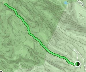 Boulder Ridge Trail: 24 Reviews, Map - Washington | AllTrails