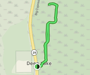 Big Cypress Deep Lake Trail: 34 Reviews, Map - Florida | AllTrails