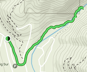 Big Sur River Gorge Trail: 464 Reviews, Map - California | AllTrails