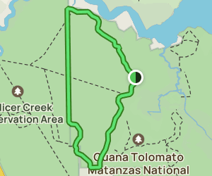 Princess Place Equestrian Trail: 37 Reviews, Map - Florida | AllTrails