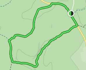 Quehanna Trail, Mohawk Trail Loop , Pennsylvania - 8 Reviews, Map ...