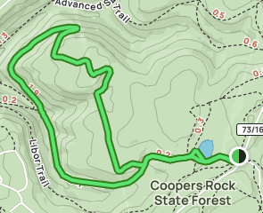 Clay Run and Power Line Loop: 33 Reviews, Map - West Virginia | AllTrails
