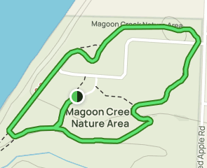 Magoon Creek Natural Area Loop, Michigan - 77 Reviews, Map | AllTrails