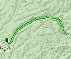 McKnight Canyon Trail #52: 2 Reviews, Map - New Mexico | AllTrails