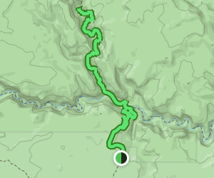 Death Hollow: 19 Reviews, Map - Utah | AllTrails