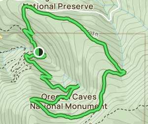 Big Tree Loop: 57 Reviews, Map - Oregon | AllTrails