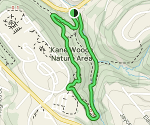 Kane Woods White and Green Loop: 216 Reviews, Map - Pennsylvania ...
