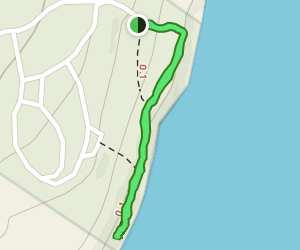 Shoreline Trail: 136 Reviews, Map - Maine | AllTrails